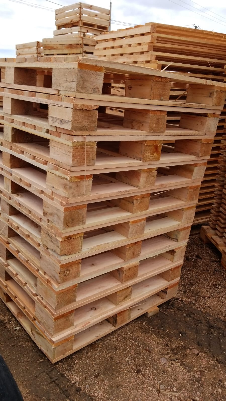 Aserradero Progreso - Negocios Rurales